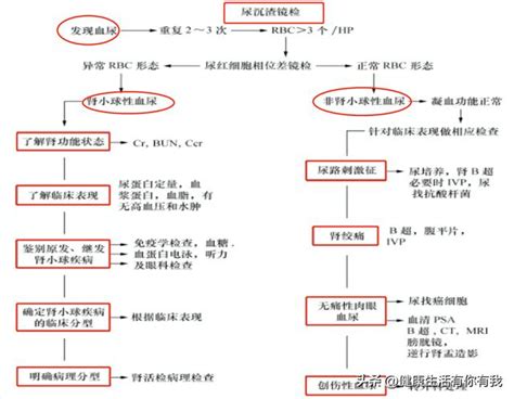 什麼是血尿尿色變紅就是血尿嗎一文告訴您尿色變紅原因 每日頭條
