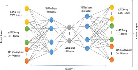 A Deep Learning Based Framework For Predicting Survival Associated Groups In Colon Cancer By