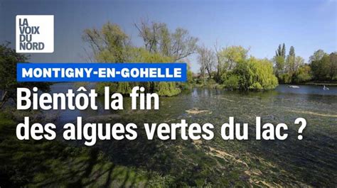 La Fin Des Algues Vertes Au Lac De Montigny En Gohelle La Voix Du