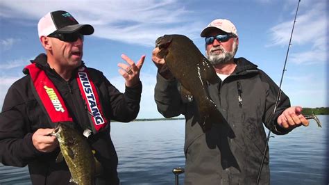 St Lawrence River Swift Current Smallmouth Bass Dave Mercers Facts