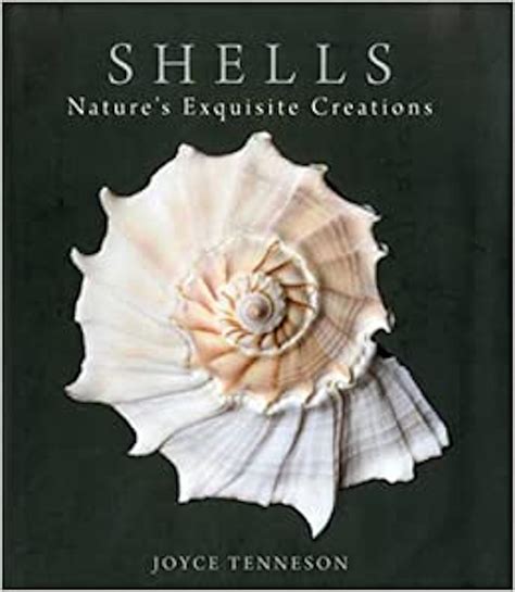 Best Seashell Books ~ So You Can Impress Your Friends With Your Mollusk