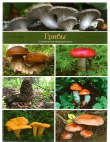 Книга: "Ядовитые растения России" - Евгений Пикунов. Купить книгу ...