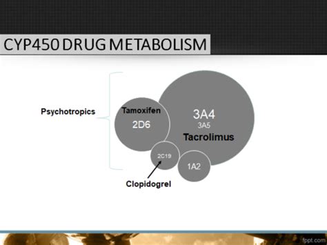Exam 4 Genomics Flashcards Quizlet