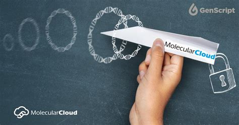 Genscript On Linkedin Newly Published Crispr Plasmids Are Available On Molecularcloud