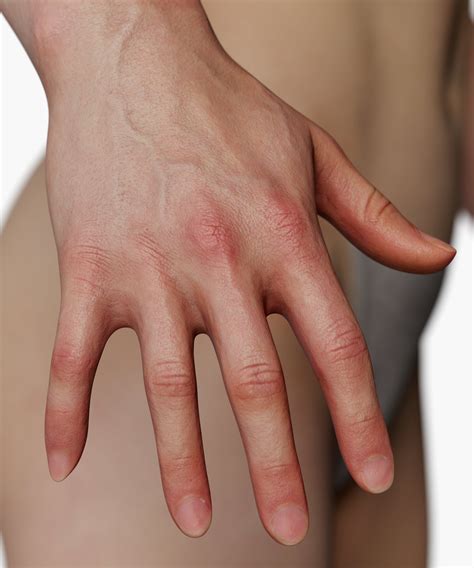 Animation Ready Body Scan Female 12