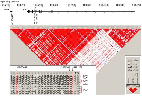 Linkage Disequilibrium Block And Exon Structure Of Drd2 Gene And