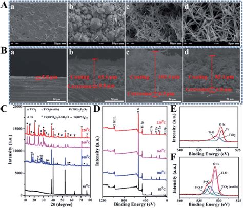 The Sem Images Showing The Surface Topography A And The Download