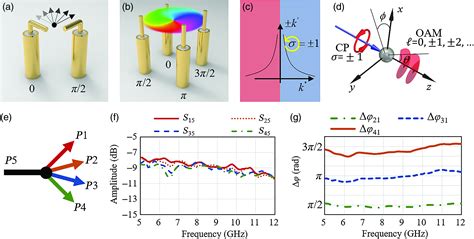 Near Field Chiral Excitation Of Universal Spin Momentum Locking Transport Of Edge Waves In