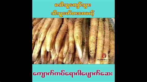 ကျောက်ကပ်ရောဂါ ခံစားနေရသူများအတွက် ဆေးနည်းကောင်းလေးလာပြီ Youtube