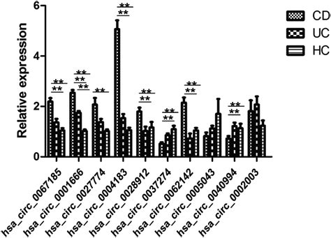 Validation Of 10 Differentially Expressed Circrnas In Microarray Download Scientific Diagram