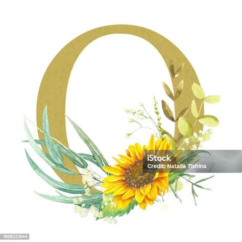 꽃 알파벳 편지 O 알파벳 문자는 차분한 금색이며 해바라기 유칼립투스 및 다양한 허브의 수채화 꽃으로 장식되어 있습니다 9월에