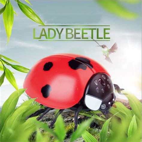 Remote Control Ladybug Toy Remote Control Seven St Grandado