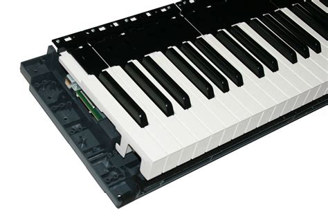 Keybed Korg 88 Note Syntaur