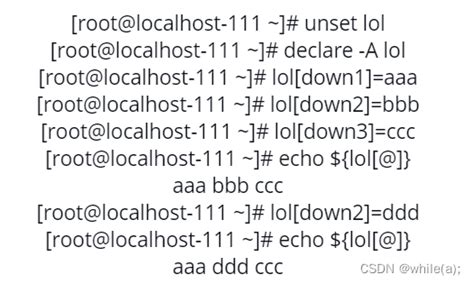 shell编程 数组和函数 shell编程里while统计数组 csdn博客