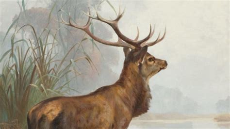 Denne Udstilling Rykker Ved Vores Forestillinger Om At Jage Vildt Kristeligt Dagblad