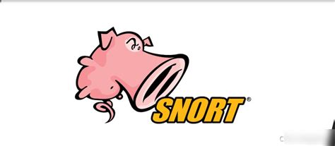 Comprehensive Guide To Using Snort The Leading Open Source Intrusion Prevention System Ax3soft