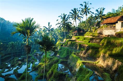 Bali Tipps Alle Artikel Auf Einen Blick Urlaubsguru De