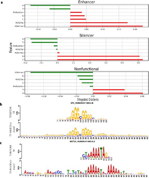 Figure 3 From Inferring Transcriptional Activation And Repression Activity Maps In Single