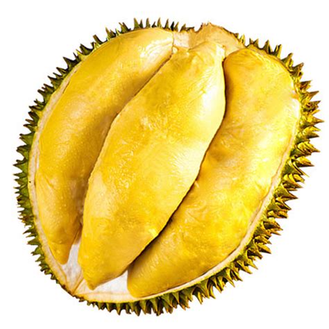 金枕 金枕头榴莲 金枕头 第10页 大山谷图库