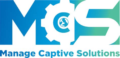 Best Offshore Hiring And Payroll Management Services Mcs