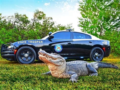 Fl Highway Patrol Wins National Best Looking Cruiser Contest