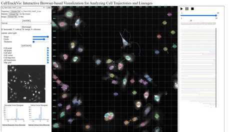 Example Cell Tracking Challenge Data Tutorial For Celltrackvis
