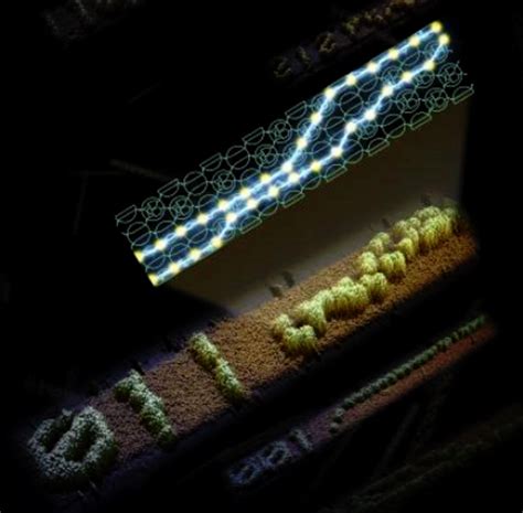 Computer Scientists Create Reprogrammable Molecular Computing System