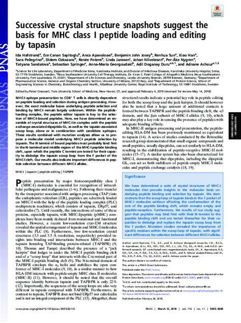 Pdf Successive Crystal Structure Snapshots Suggest The Basis For Mhc