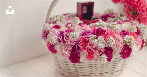 흰색 고리 버들 세공 바구니 사진 Unsplash의 무료 카네이션 이미지