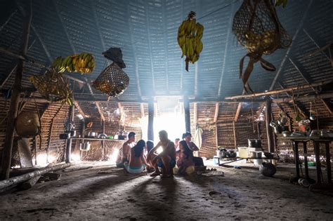 Protect The Amazon Rainforest And Its Guardians Globalgiving