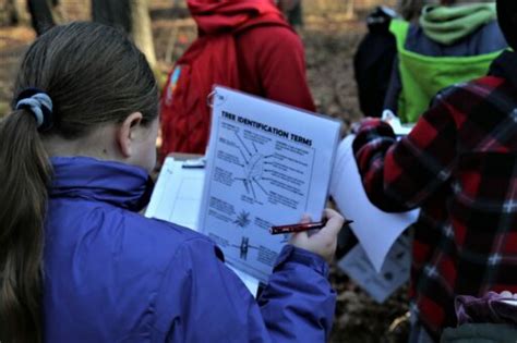 Tree Identification Tools University Of Wisconsin Stevens Point