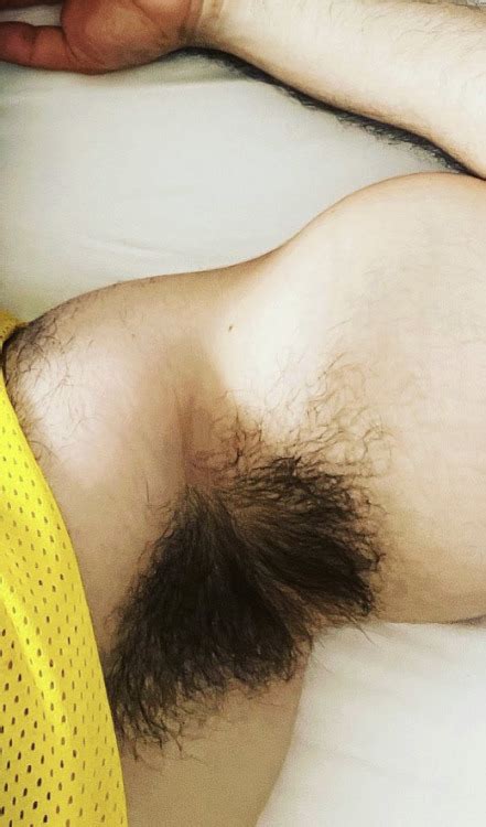 Post 683604723513819136 Big Aussie Tumbex