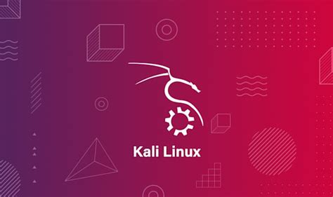 Teach Kali Linux And Pentesting By Sahibcode Fiverr