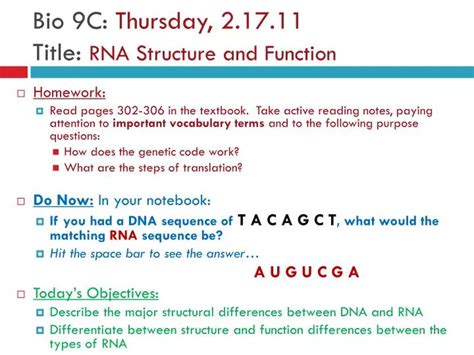 PPT Bio 9C Thursday 2 17 11 Title RNA Structure And Function PowerPoint Presentation ID