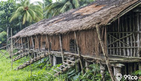 25 Inspirasi Top Rumah Adat Asmat