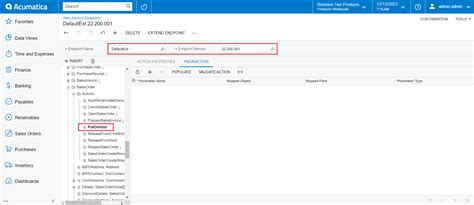 Getting Error When Make Api Call For Sales Order Entity In The 23r2