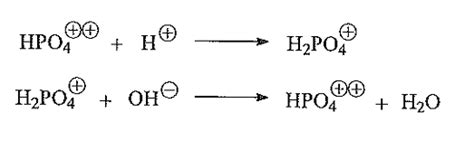 Biochemistry Class Notes Buffer Systems And Their Roles In Regulating