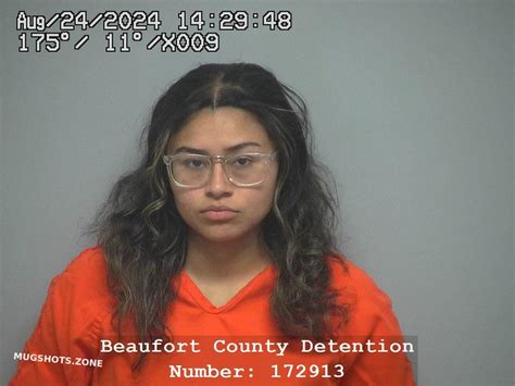 Deyanira De Leon Meza Beaufort County Mugshots Zone