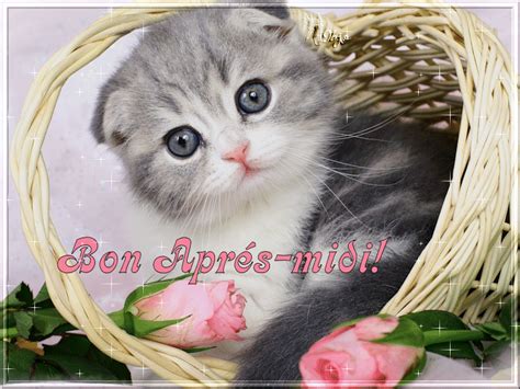 Bon Apres Midi Page