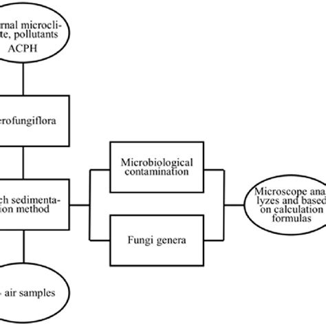Flowchart Representing The Methodology Of Data Acquisition And Download Scientific Diagram