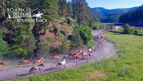 Red Horse Mountain Ranch Bewertungen Fotos And Preisvergleich Harrison