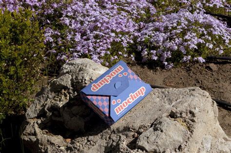 Psd Take Away Packaging Mockup In Nature