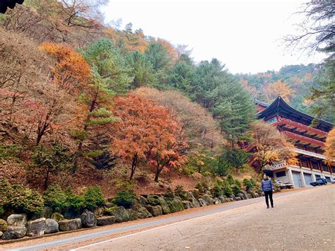 단양 구인사 4 Kiyong Ahn Flickr