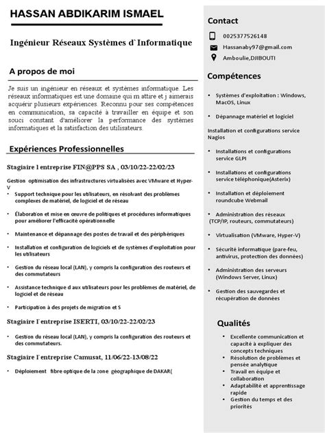 Cv Technicien Informatique Pdf