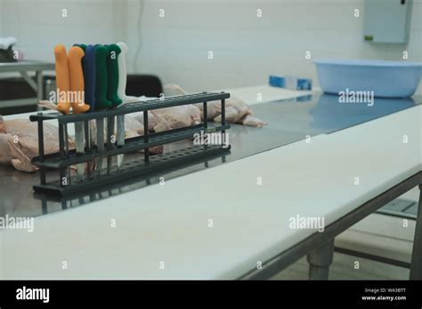 Chicken Processing In Plant Factory Poultry Production In Food