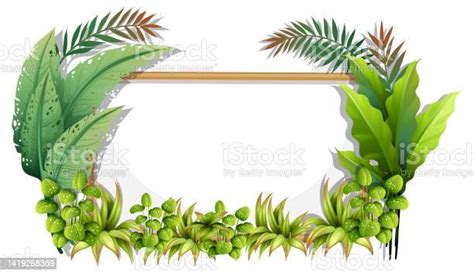 열대 잎이있는 프레임 템플릿 0명에 대한 스톡 벡터 아트 및 기타 이미지 0명 국경 떠남 Istock