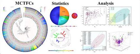 Multi Component Thin Films And Coatings Materials Design X Mol