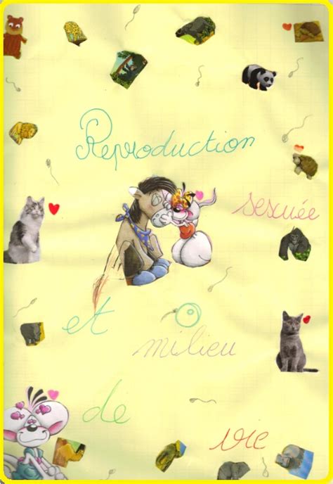 Reproduction Sexuée Et Milieu De Vie Svt 4ème Vive Les Svt Les