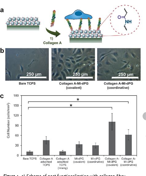 Figure 1 From Mussel Inspired Dendritic Polymers As Universal