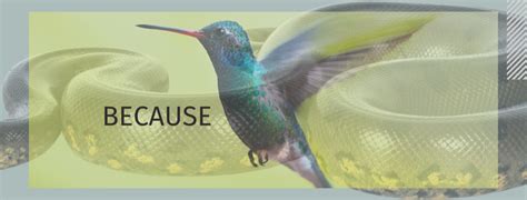 Yoga Events And Resources